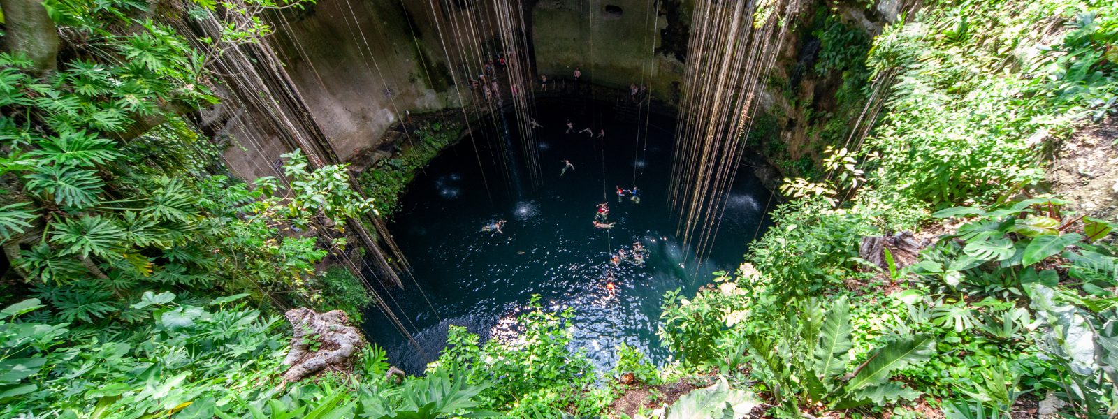 イキルセノーテとは？ - CRS JAPAN